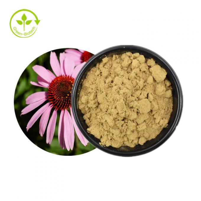 Pure Echinacea Purpurea Plant Extract 1% Chicoric Acid Powder